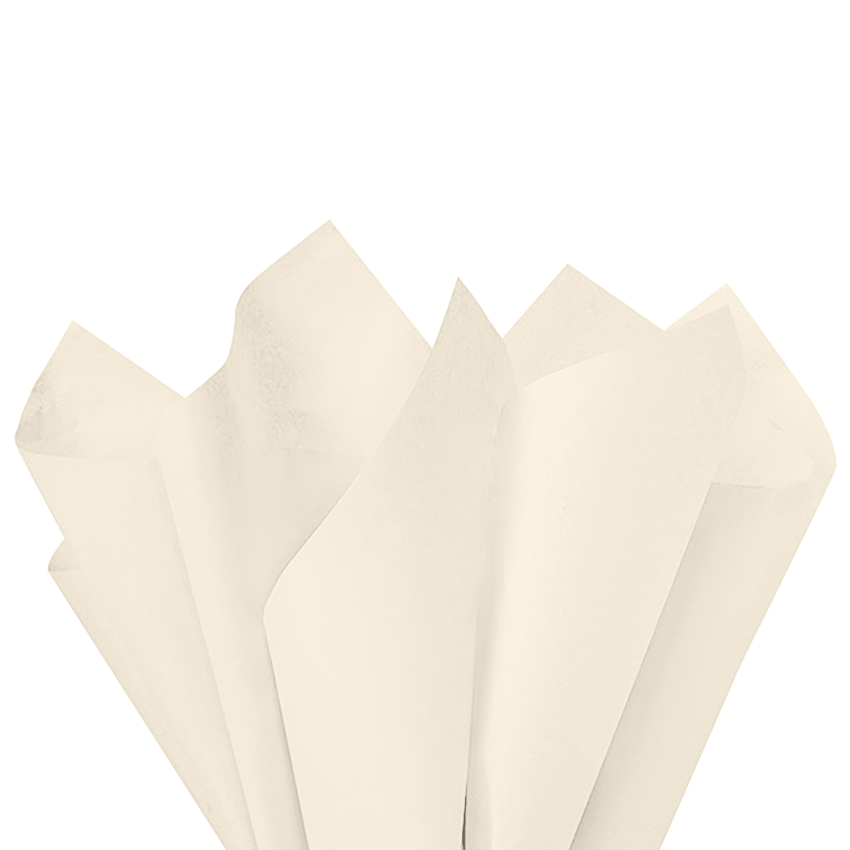 Ivory Tissue Paper (24pk) – THE HOLIDAY HOUSE